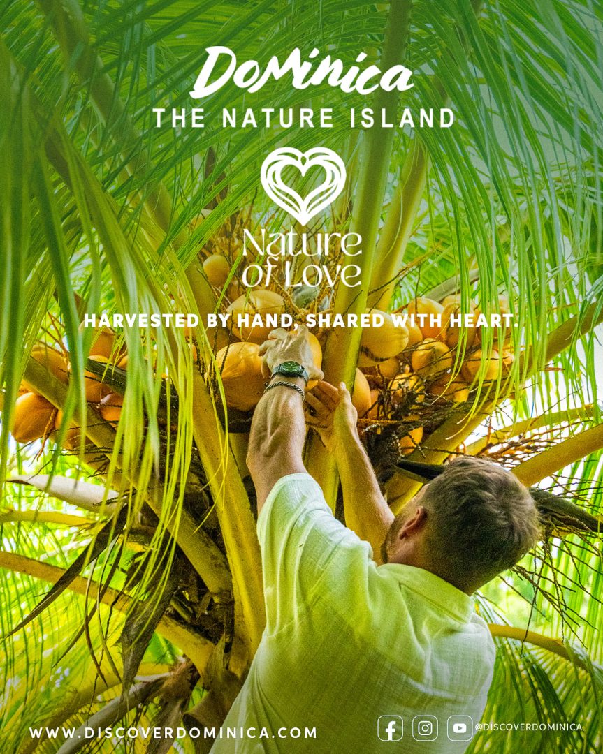 Travel Dominica – By Sea - Discover Dominica Authority