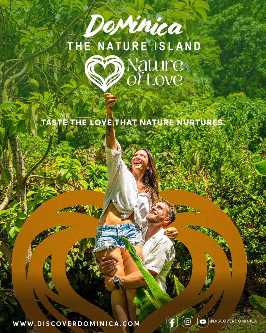 Home - Discover Dominica Authority